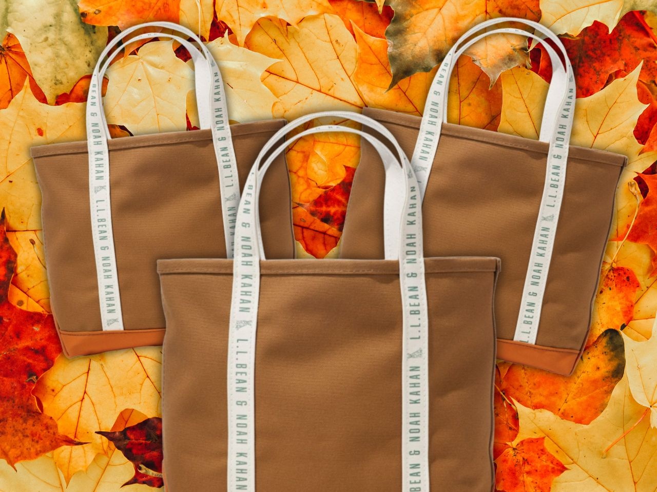 The LL Bean x Noah Kahan Tote Bag is on sale for the first time - get ...