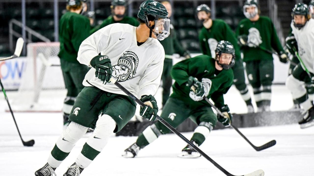 Here's a look at 6 transitions in men's college hockey this season in ...