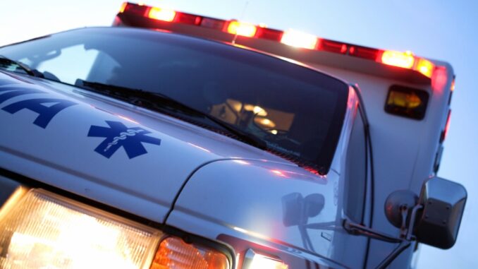 Man who tried to stab dog after random attack stabs another man in ...