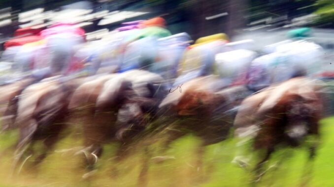 Race by race preview and tips for Dubbo on Monday - Repo Sports Central