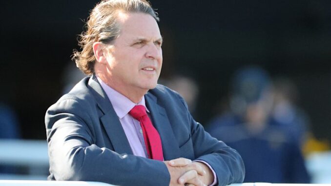 Freedman's hopes are flying high with a wet track forecast at Rosehill ...