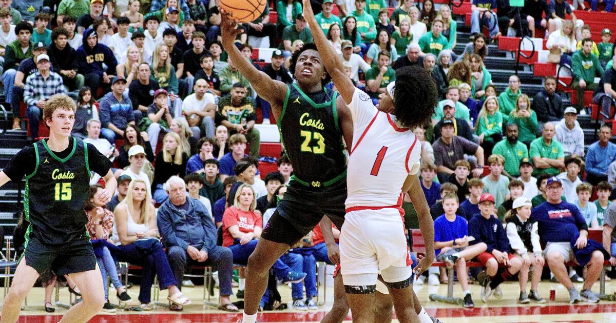 Prep Basketball Summary: Sophomore Brady Sullivan - Repo Sports Central