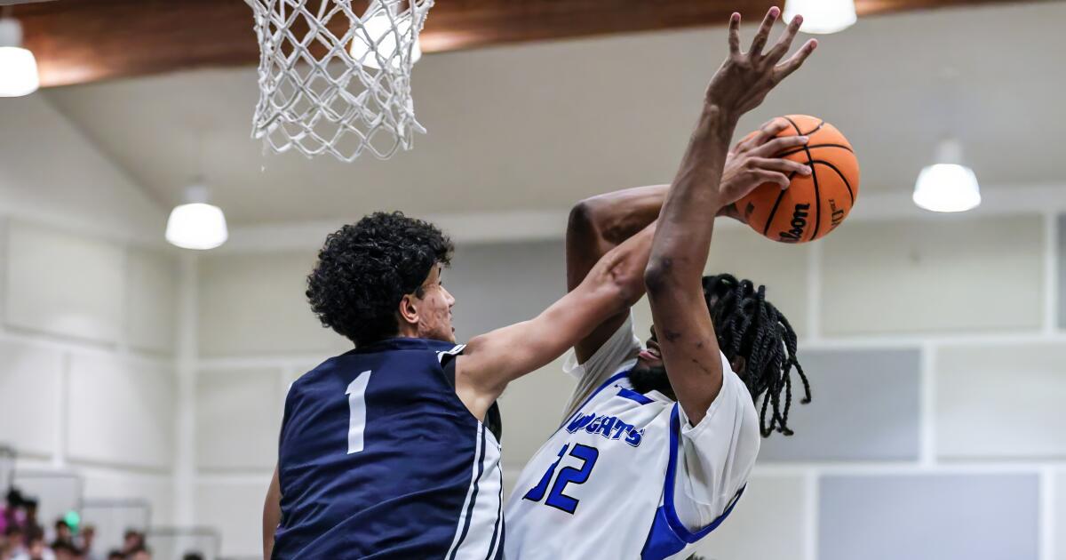 Tennis star Alexander Coleman becomes basketball contributor for ...